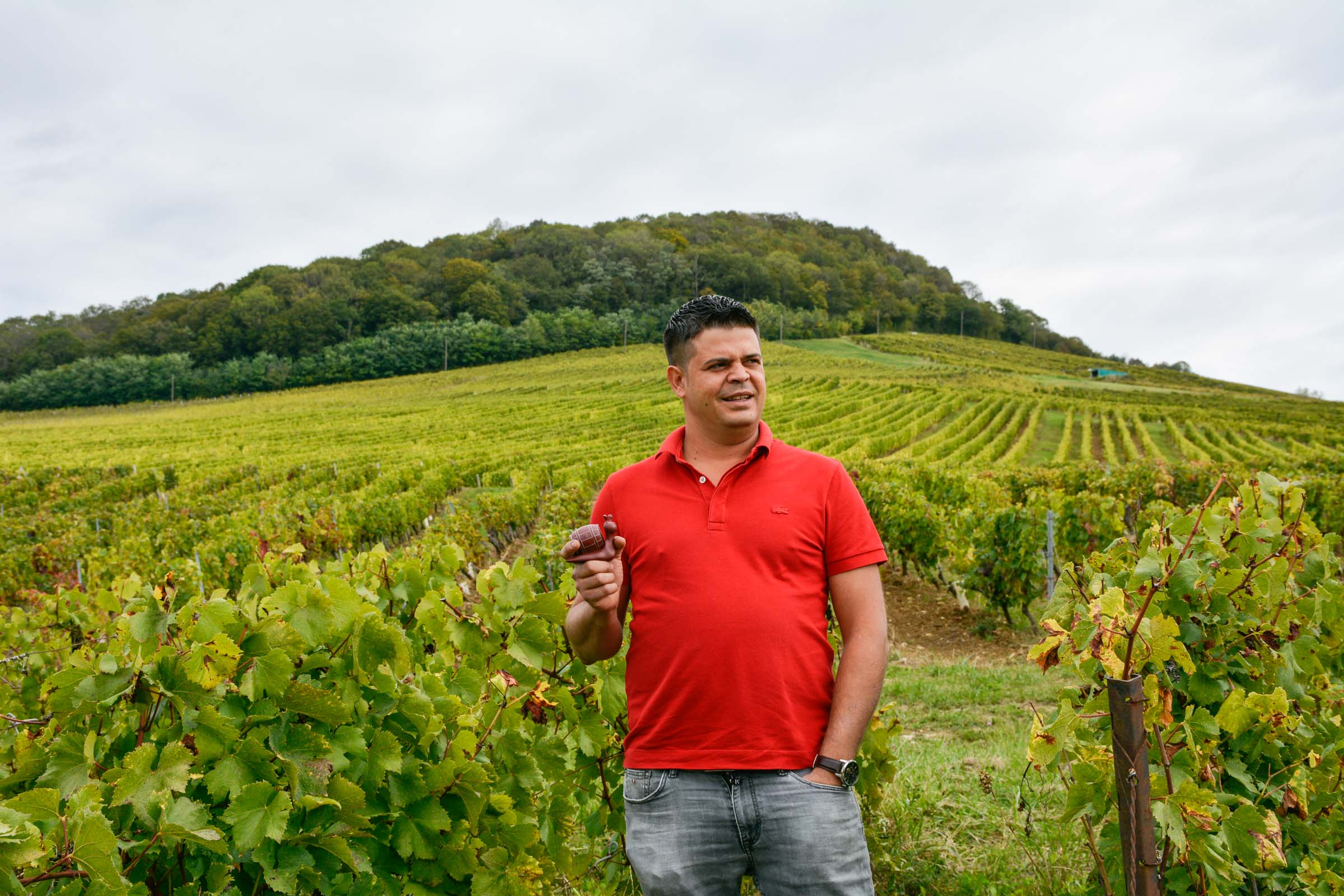 Richard Laurent - ANIMA VINUM - FR