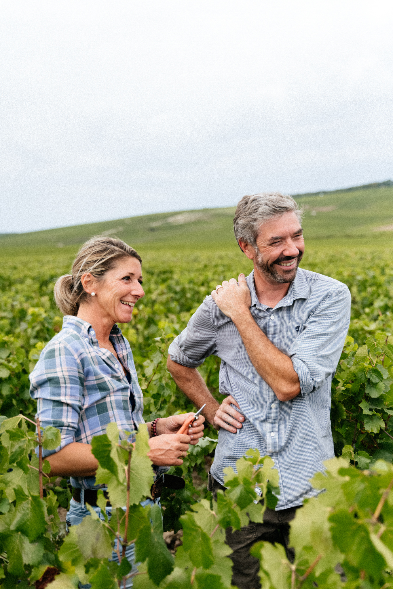 POUILLON Fabrice - ANIMA VINUM - FR